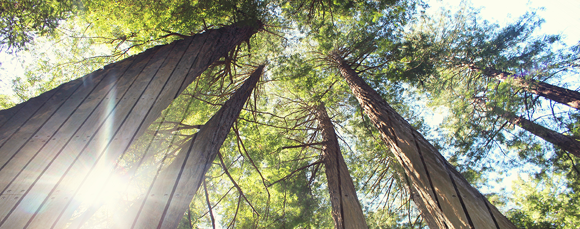 Setra Wood Products UK - Setra Group